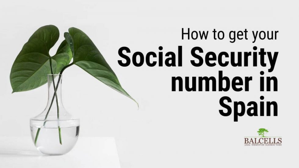 How to Get Your Social Security Number in Spain (Fast)