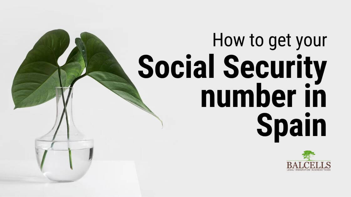 How to Get Your Social Security Number in Spain (Fast)